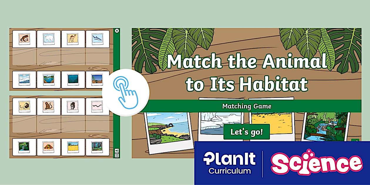 Match The Animal To Its Habitat Game - Twinkl