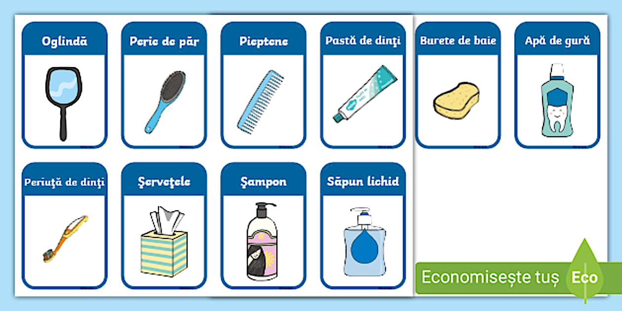 Obiecte de igienă personală – Cartonașe | Twinkl România