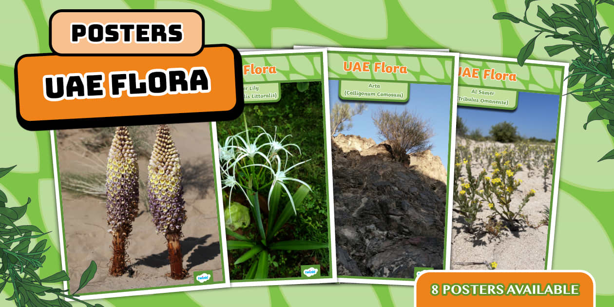 Discover UAE Flora Posters