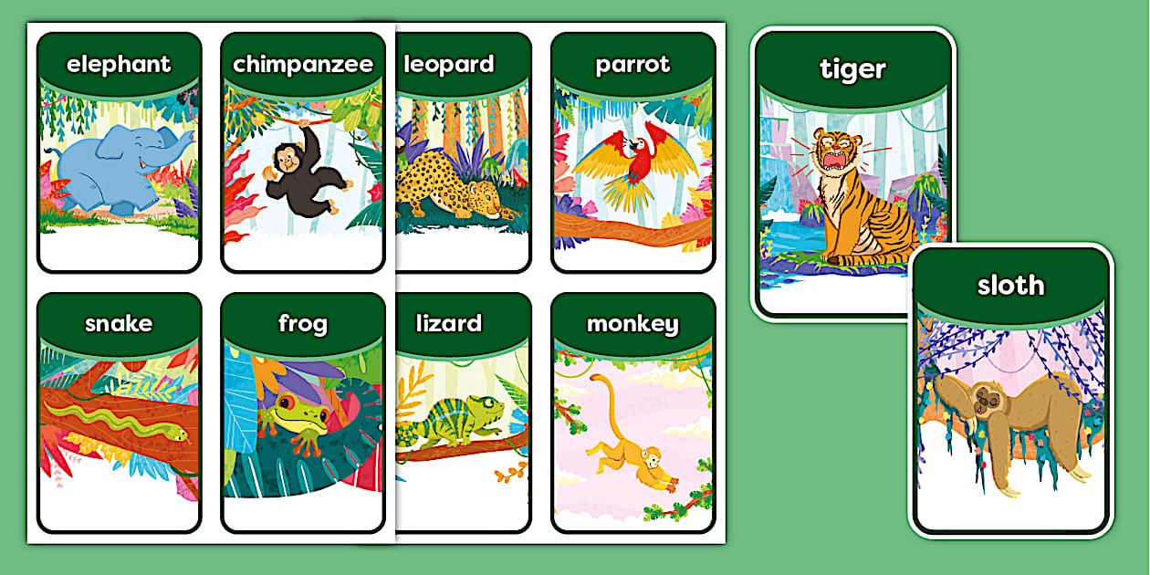 Originals First Words Flashcards: Jungle Animals - Twinkl