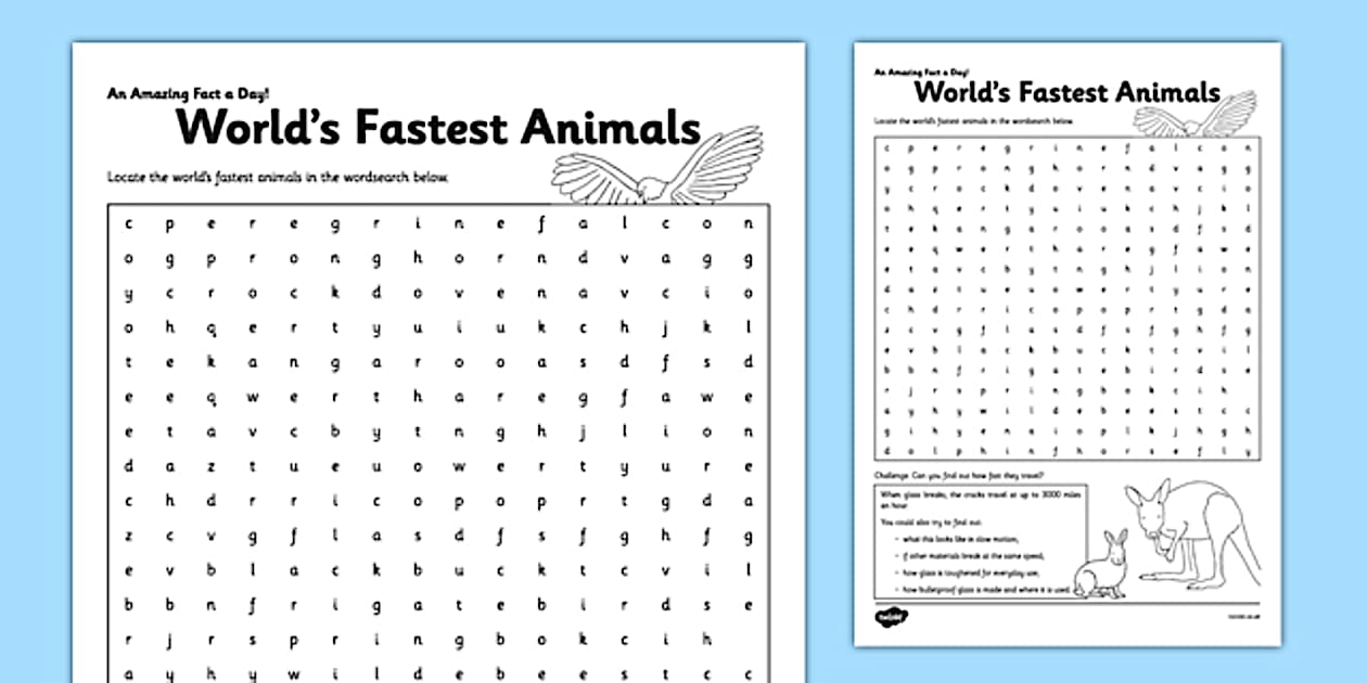 World 's Fastest Animals Worksheet (Teacher-Made) - Twinkl