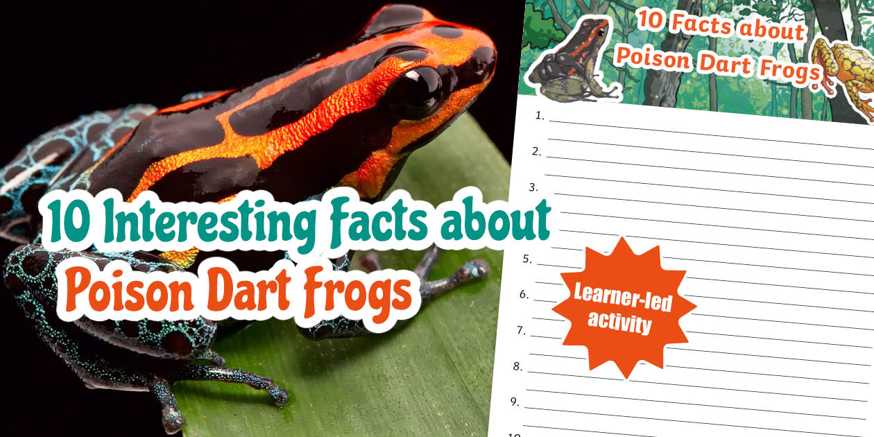 * NEW * 10 Interesting Facts about Poison Dart Frogs Worksheet