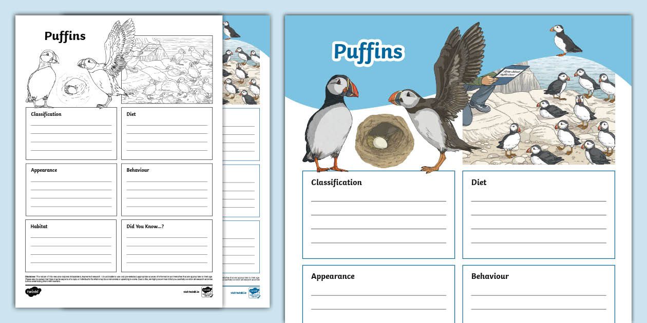 Puffin Fact File Template - Twinkl English (teacher made)