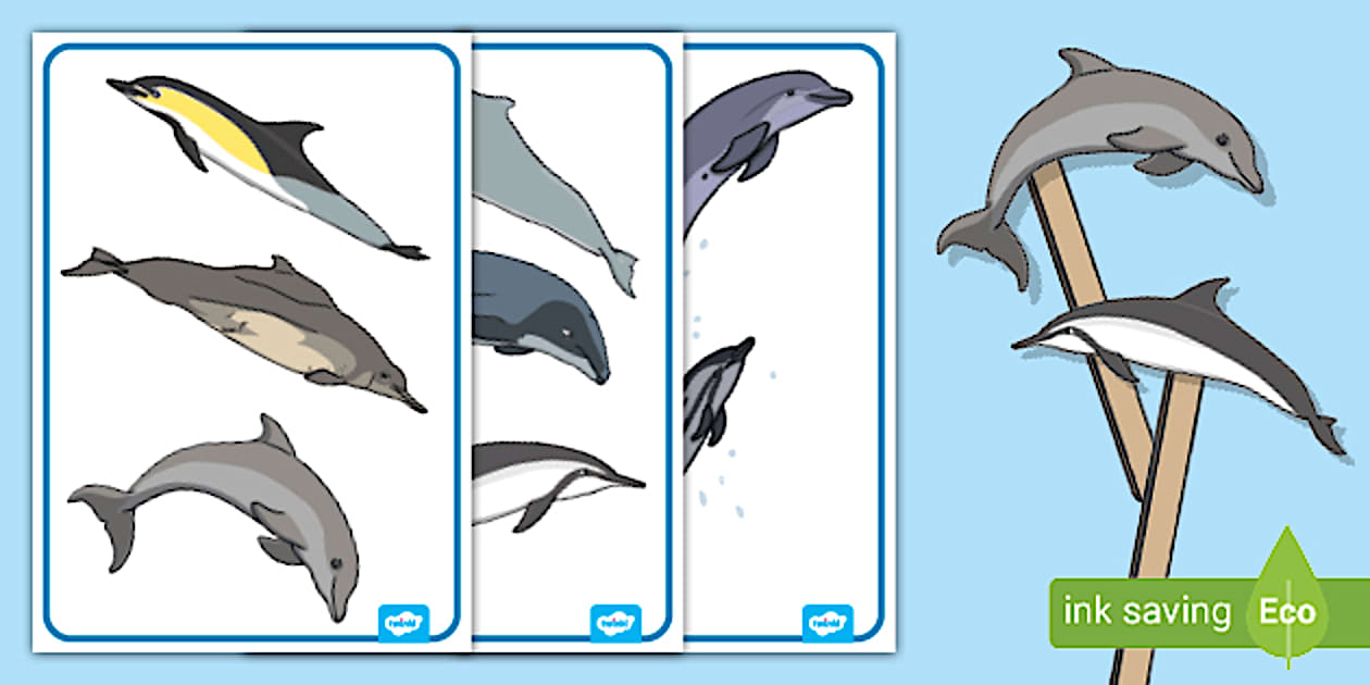 Dolphin Stick Puppets (teacher made) - Twinkl