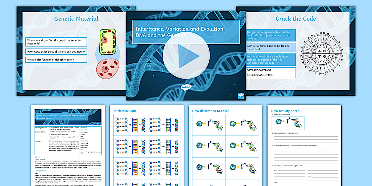 Aqa Inheritance Variation And Evolution Lesson 2 Dna Structure And The