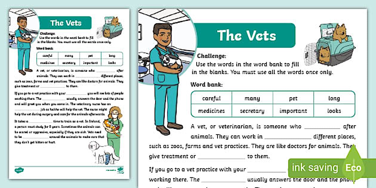 Vets Cloze Activity First and Second Classes