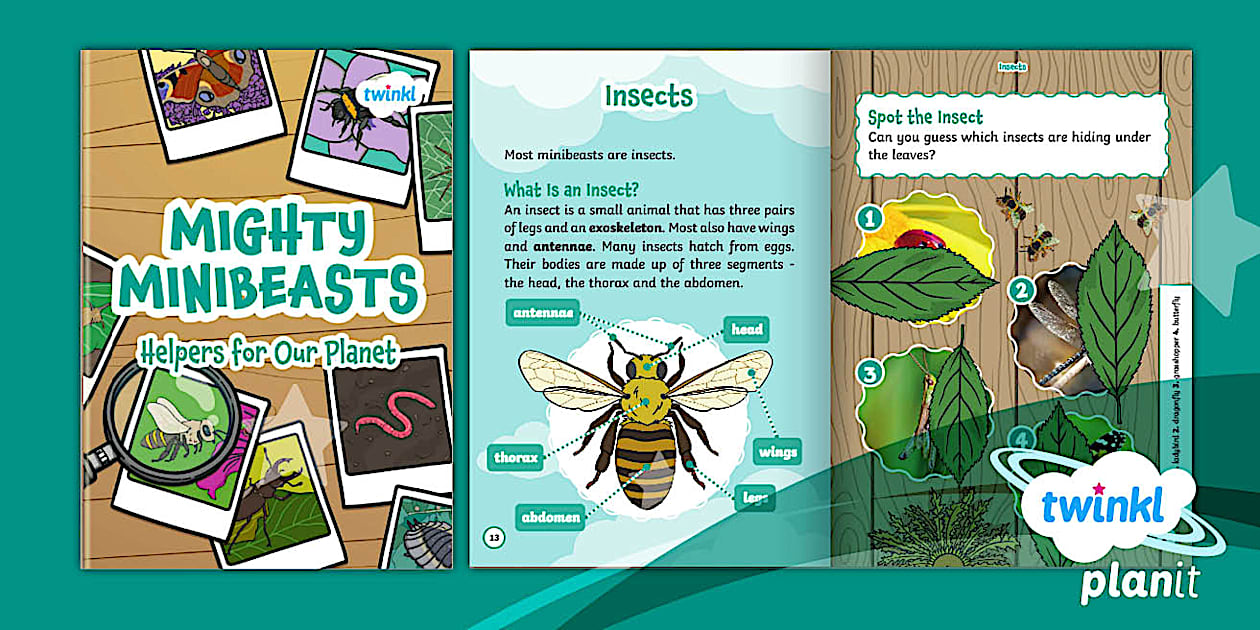 Science: Biodiversity - Minibeasts: Mighty Minibeasts eBook Year 2
