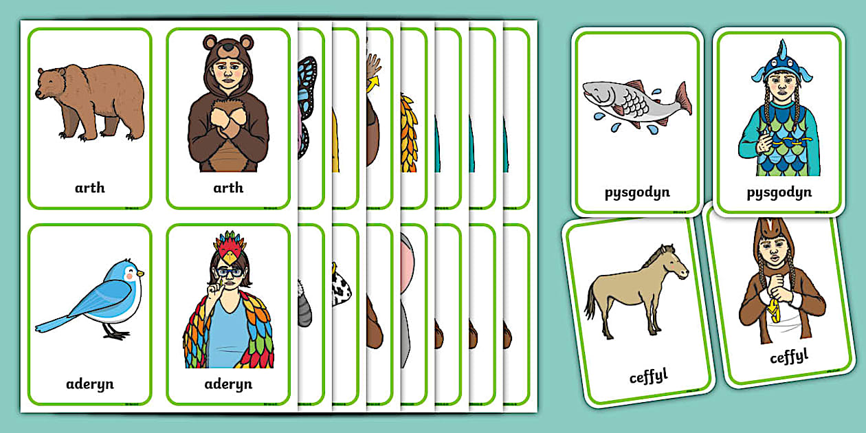 Cardiau Fflach Iaith Arwyddion Prydain: Anifeiliaid - Twinkl