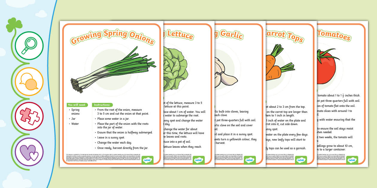 Growing Vegetables (teacher made) - Twinkl