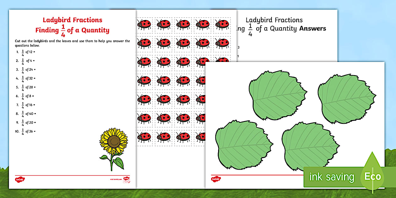 Ladybird Fractions Finding a Quarter of a Quantity Activity
