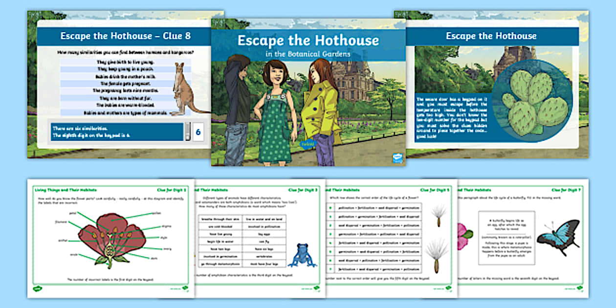 Y5 Living Things and Their Habitats Escape the Room Game