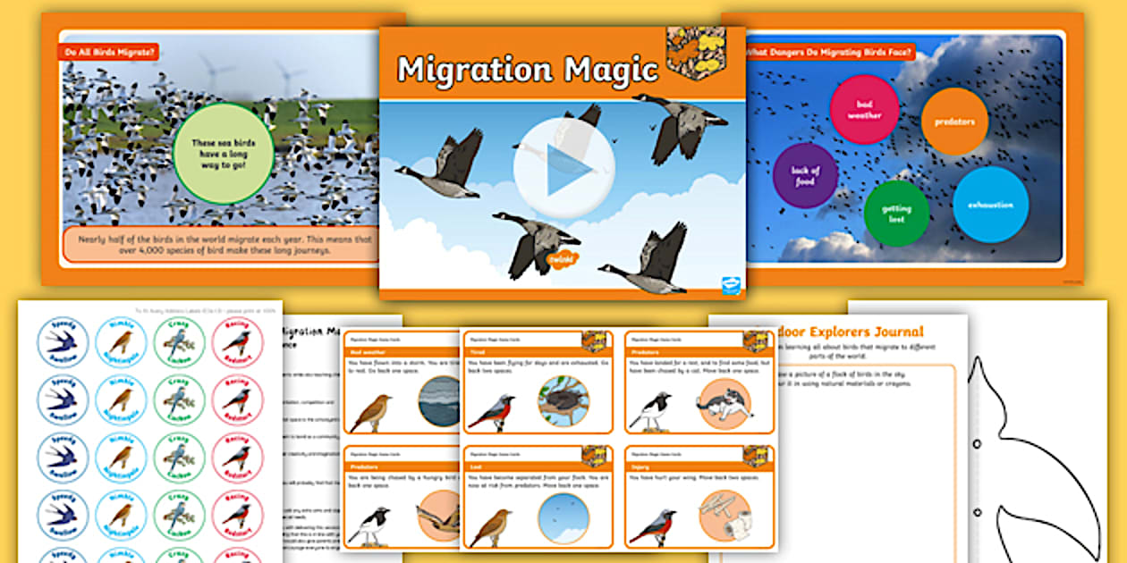 Outdoor Explorers Autumn EYFS Bird Migration Lesson - Twinkl