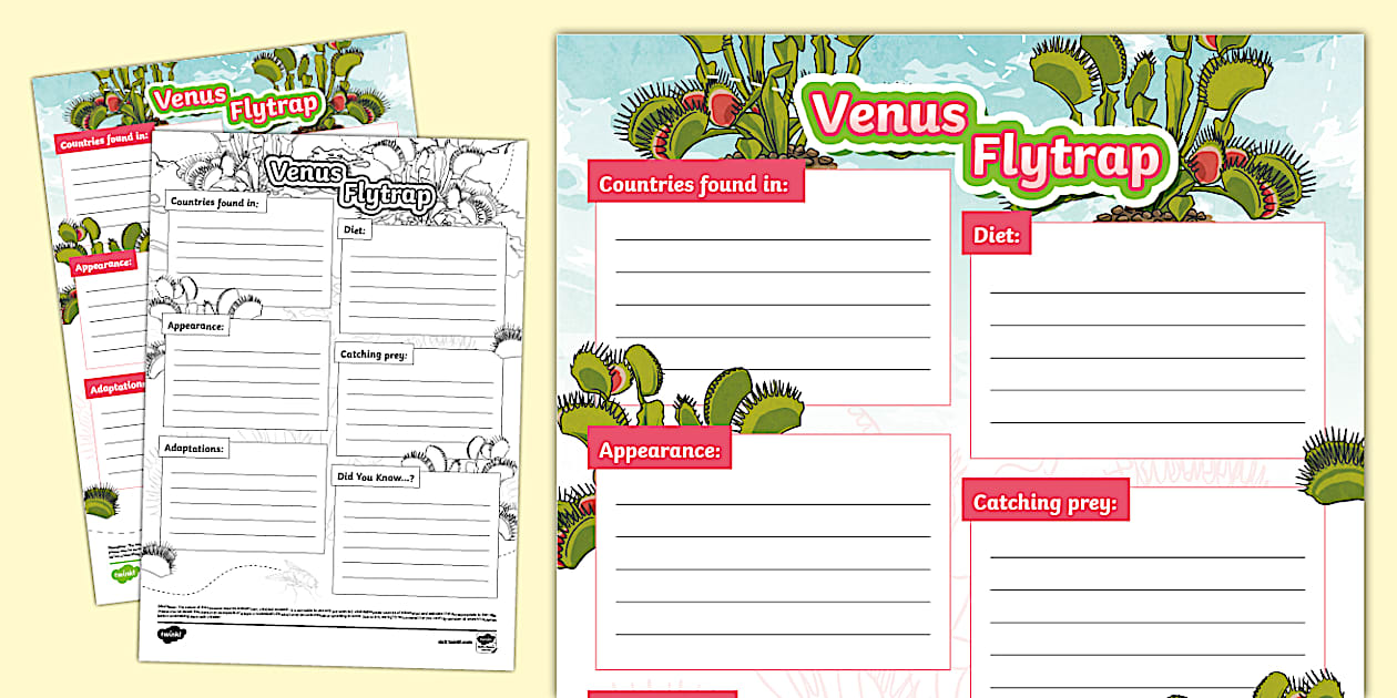Venus Flytrap Fact File Template (Teacher-Made) - Twinkl