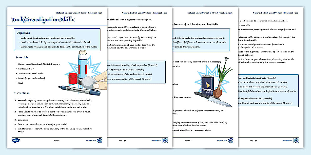 Natural Science Grade 9 Term 1 Practical Task (teacher made)