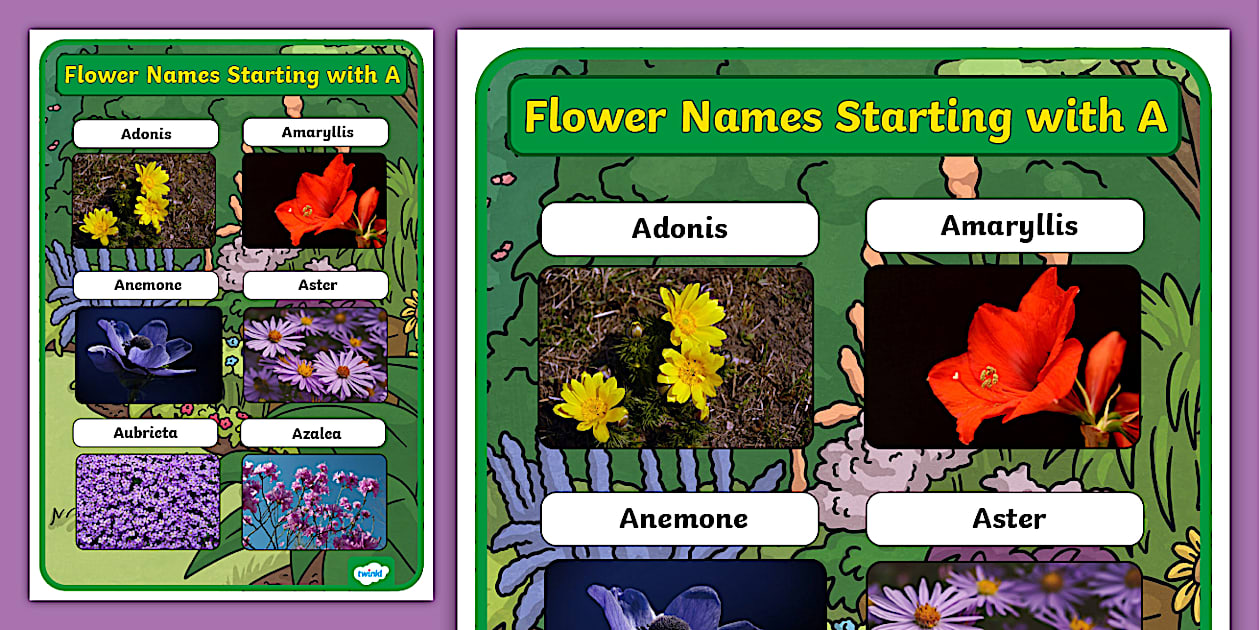Flower Names Starting with A Display Poster - Twinkl