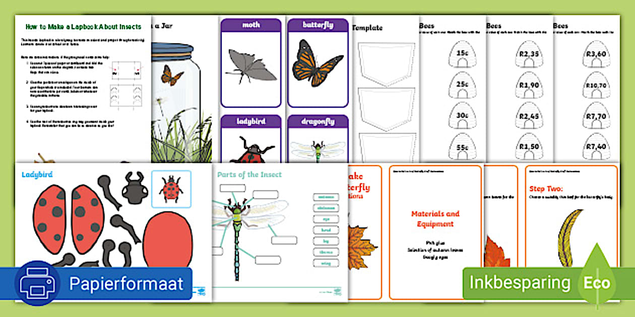 Insects Lapbook (teacher made) - Twinkl