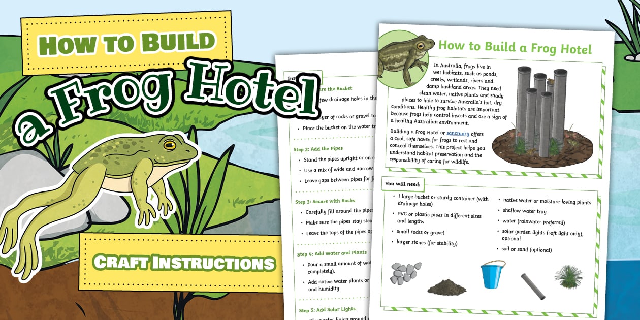 Twinkl Australia Years 3-4 Frog Hotel Craft Instructions