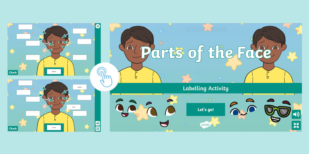 Parts of the Face Interactive Labelling Activity - Twinkl