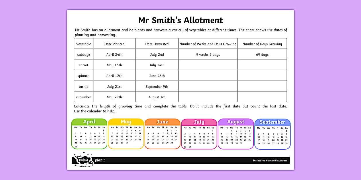 Mr Smith's Allotment Worksheet (teacher made) - Twinkl