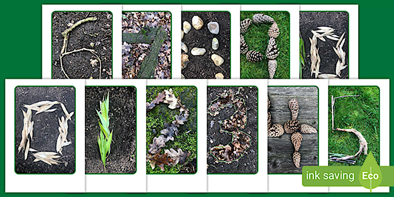 👉 Nature-Themed Numbers 0-10 | Numbers Display - Twinkl