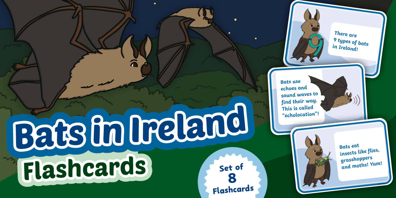 Bats in Ireland Flashcards