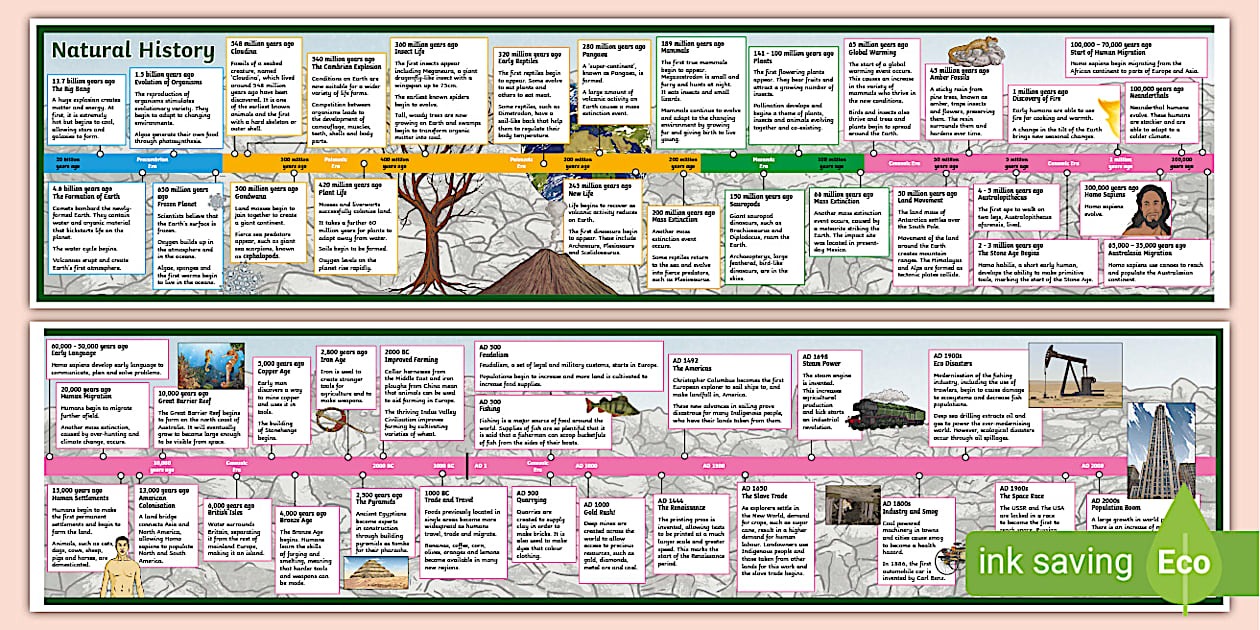Natural History Earth Timeline Display Poster | Twinkl