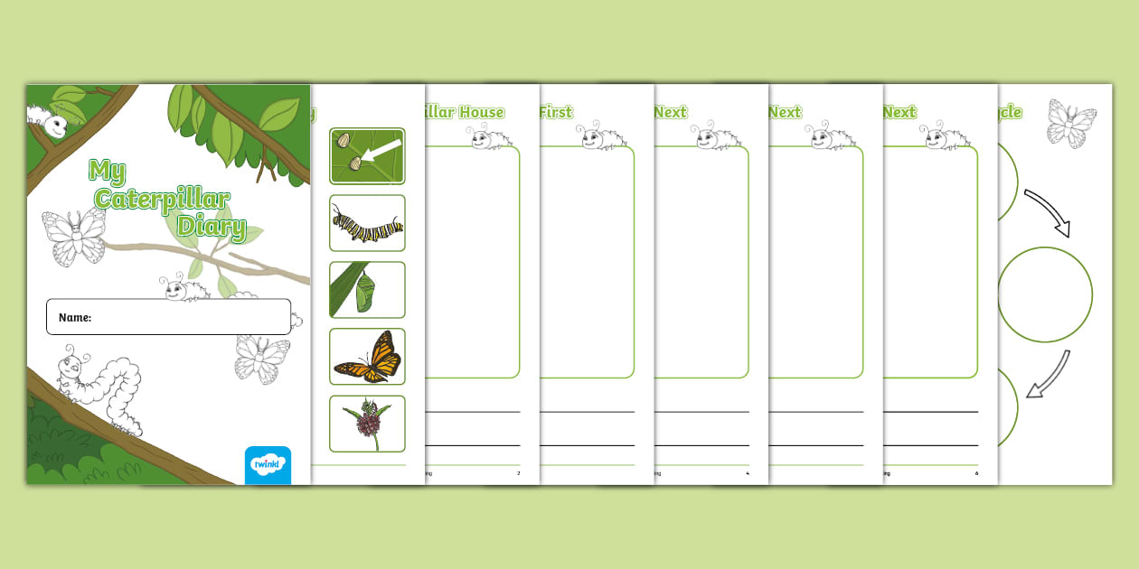 Caterpillar Diary Booklet | Twinkl (teacher made) - Twinkl