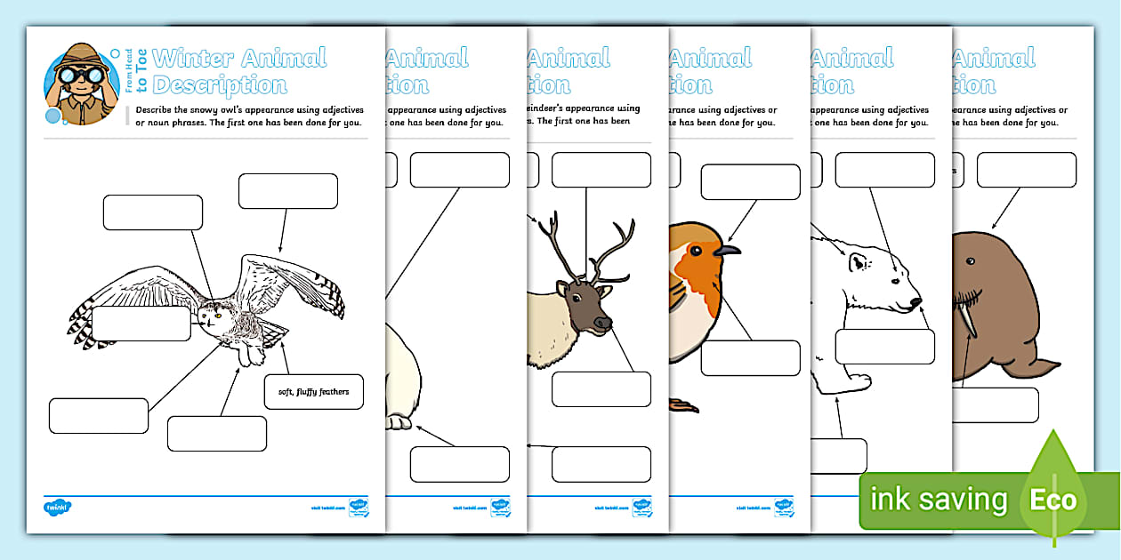 KS1 From Head to Toe Winter Animal Description Worksheets