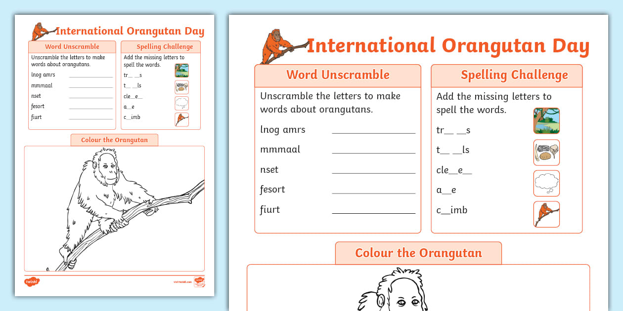 KS1 International Orangutan Day Boredom Buster - Twinkl