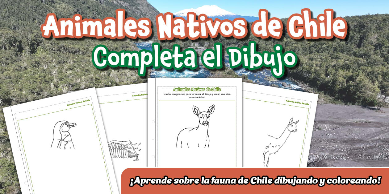 Guía de Trabajo: Completa el Dibujo - Animales Nativos de Chile