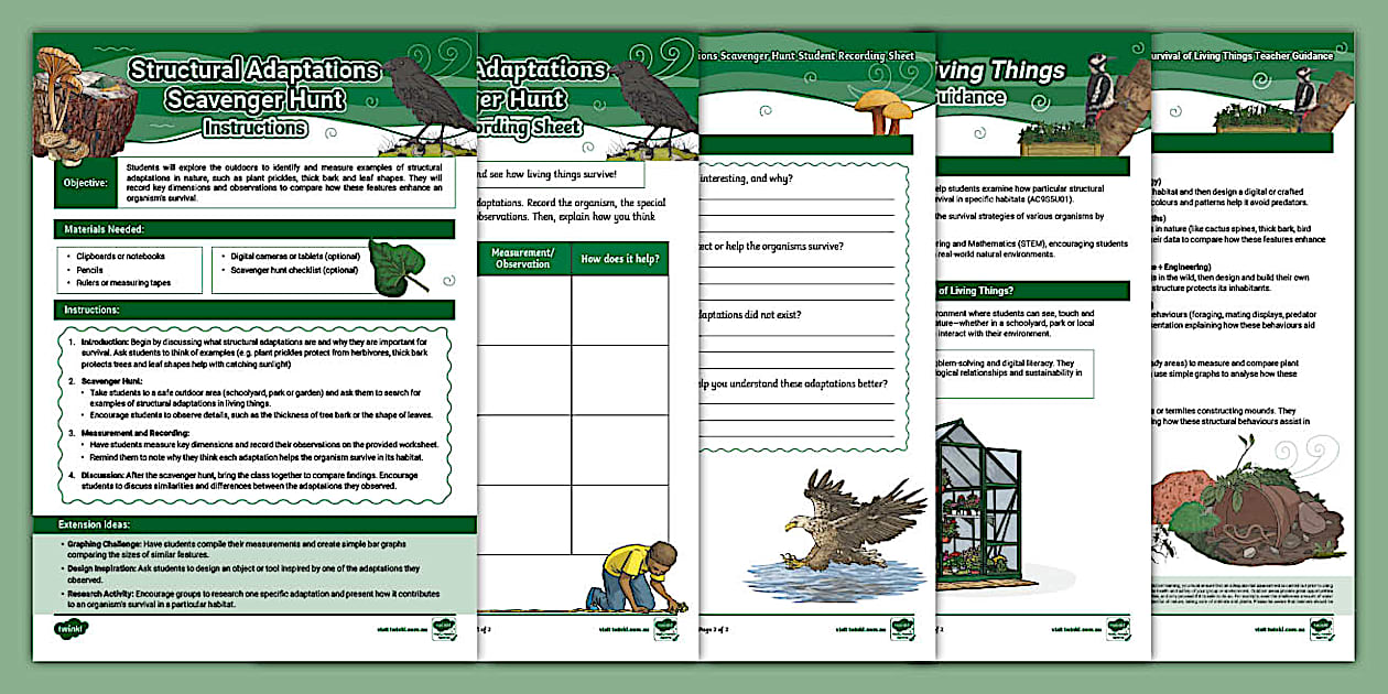 STEM Outdoors: Structural Adaptations Scavenger Hunt