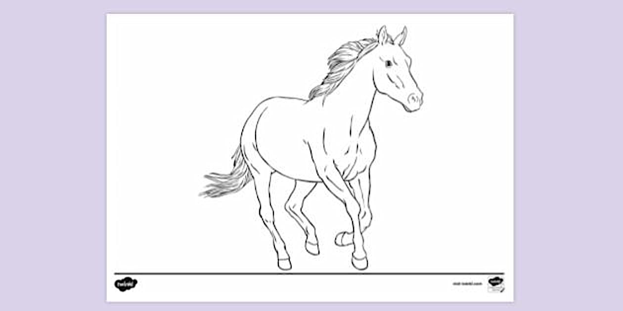 Horse Colouring Page for Children | Colouring Sheets