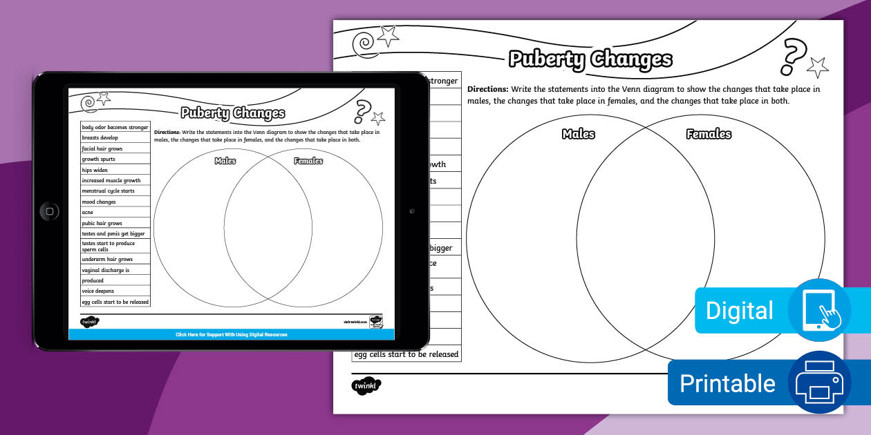 Puberty Changes Venn Diagram Worksheet for 6th-8th Grade