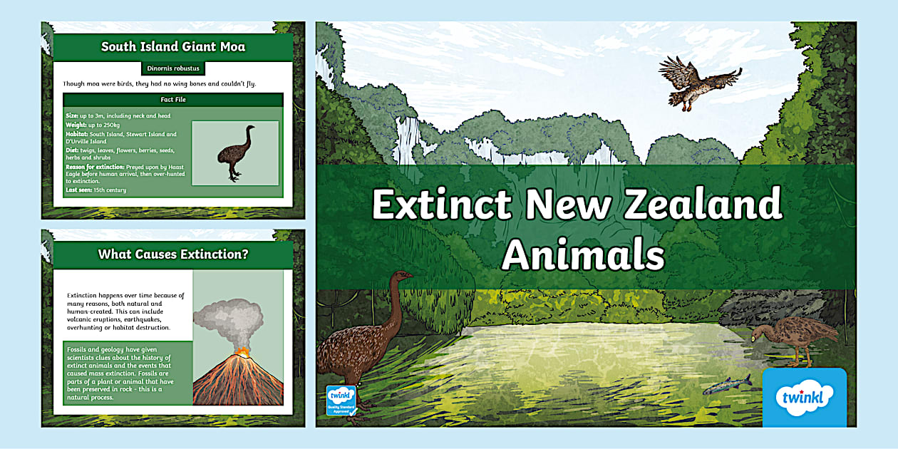 New Zealand Extinct Animals PowerPoint | Twinkl - Twinkl