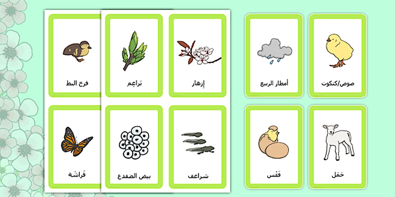 Black and White Spring Pairs Matching Game Arabic - Twinkl