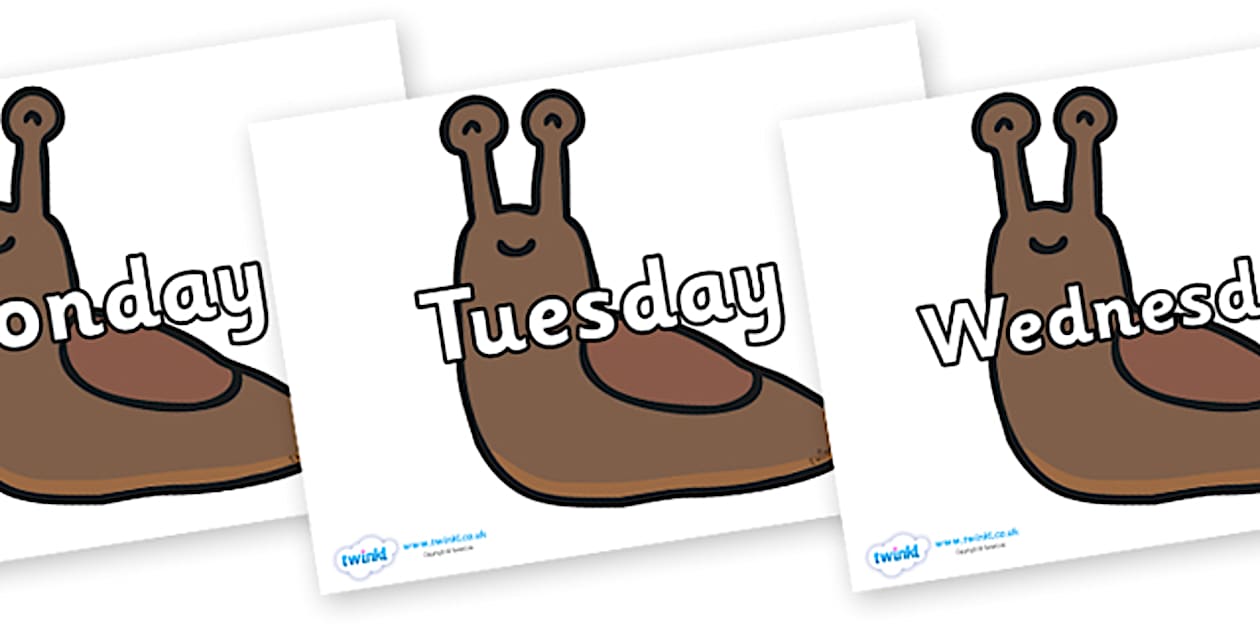Days of the Week on Slugs (teacher made) - Twinkl