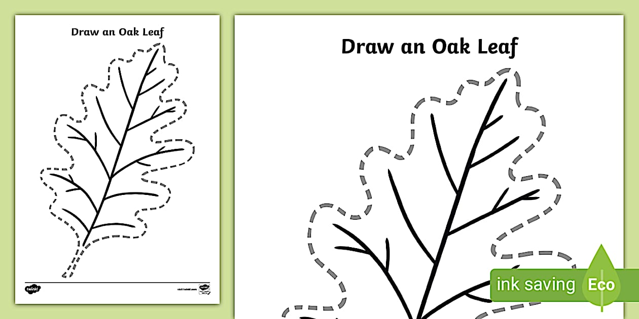 EYFS Draw an Oak Leaf Pencil Control Activity (teacher made)