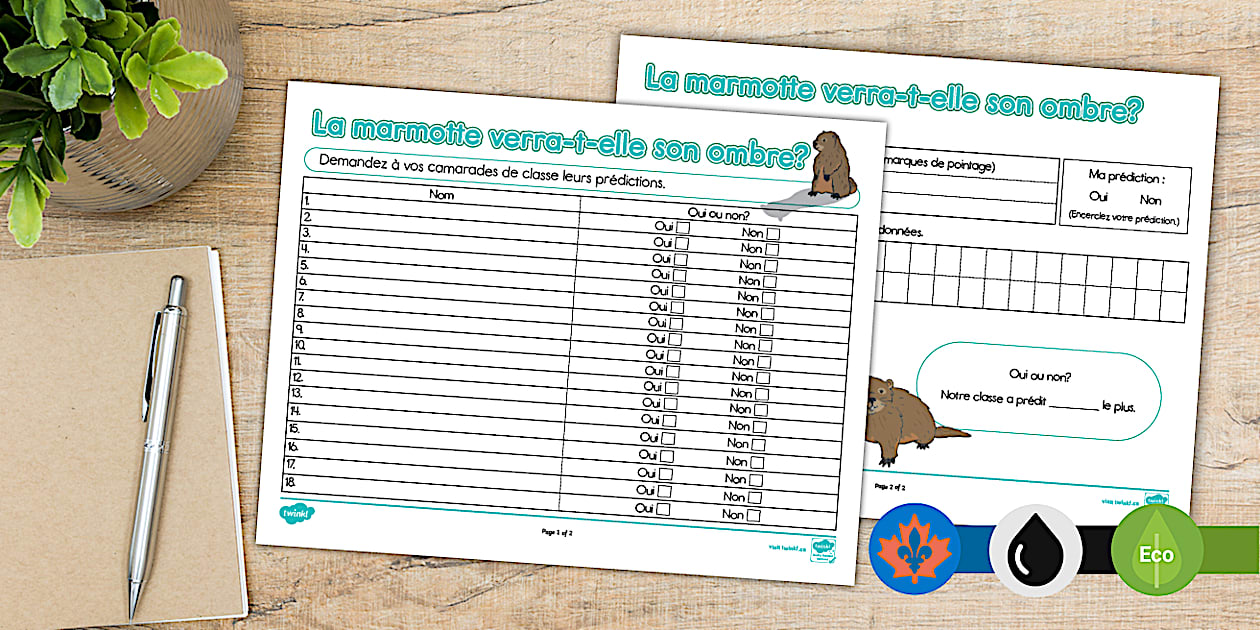 Groundhog Day Prediction Graphing Activity French - Twinkl
