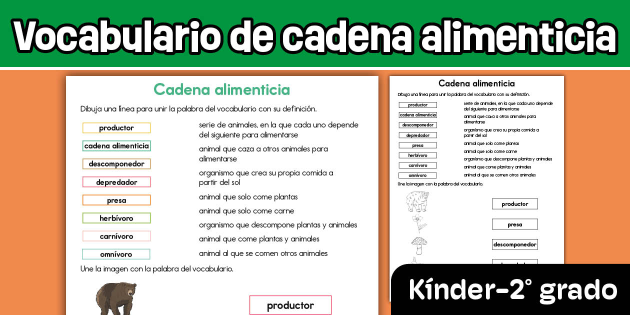 Food Chain in Spanish Activity for K-2nd Grade | Twinkl USA