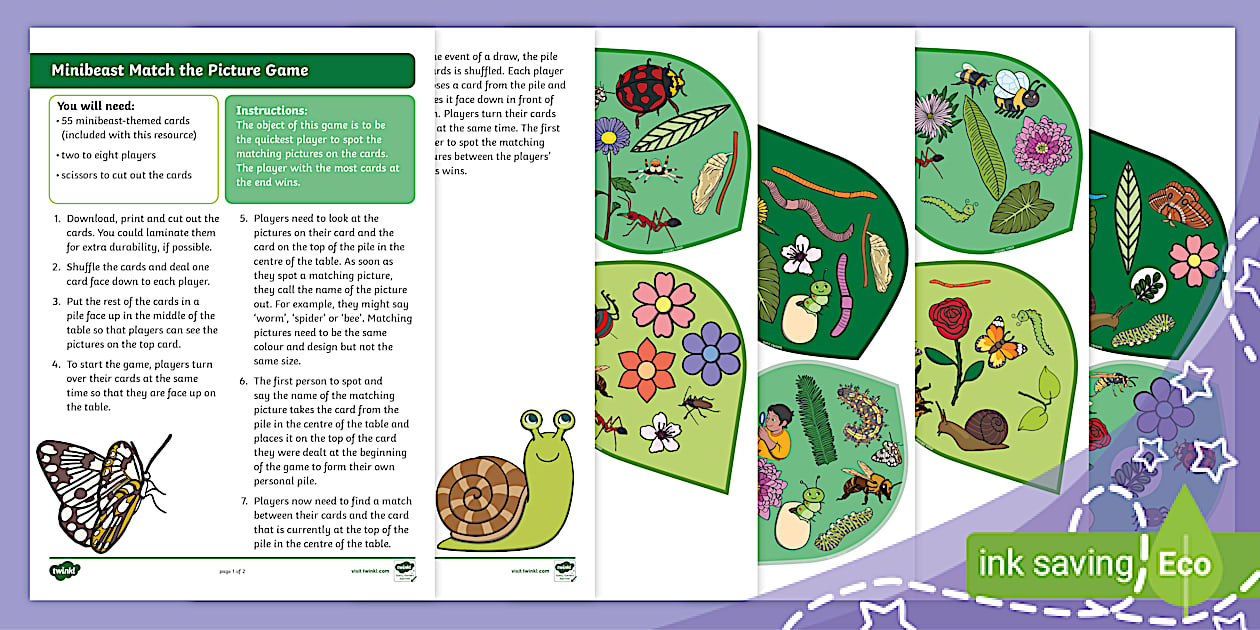 Minibeast Match the Picture Cards (Teacher-Made) - Twinkl