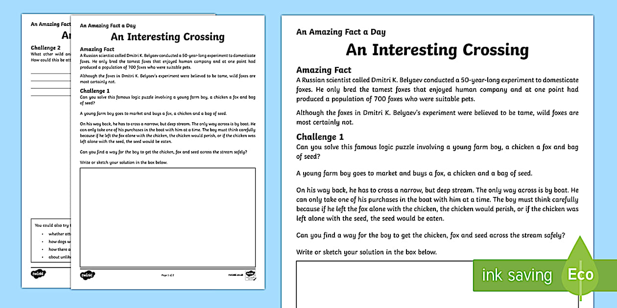 An Interesting Crossing Worksheet / Worksheet - Twinkl