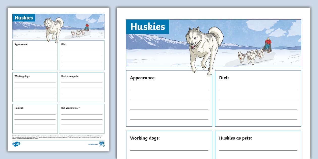 Huskies Fact File Template - Twinkl Animals (teacher made)