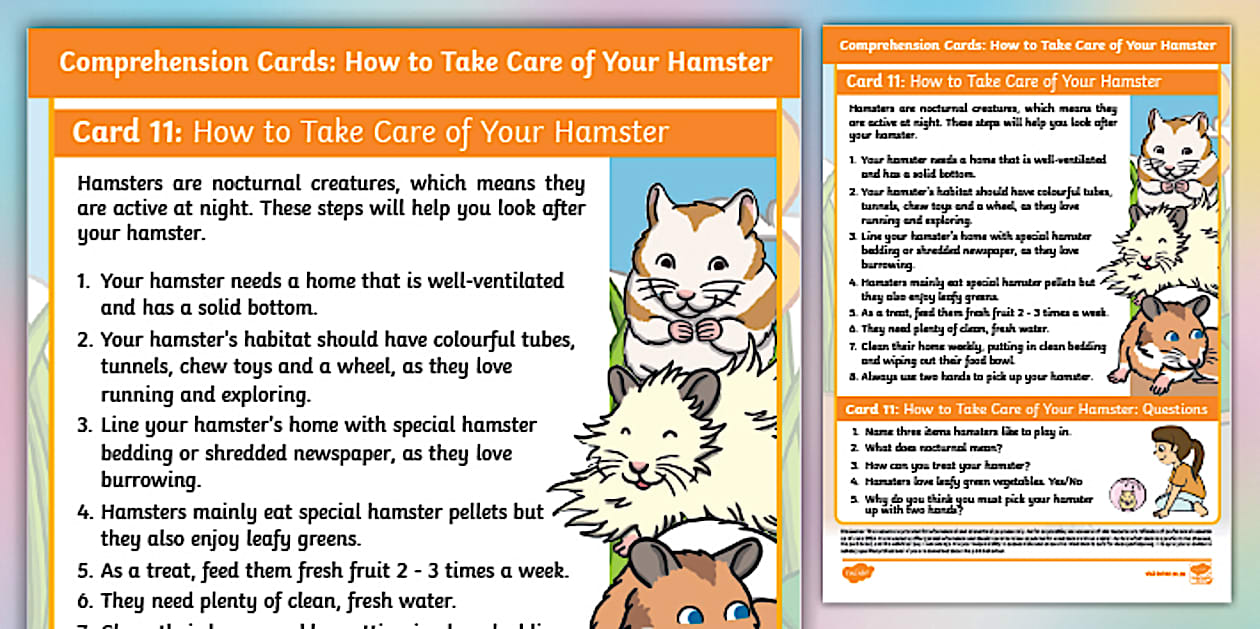 Comprehension Card: How to Care for Your Hamster - Twinkl