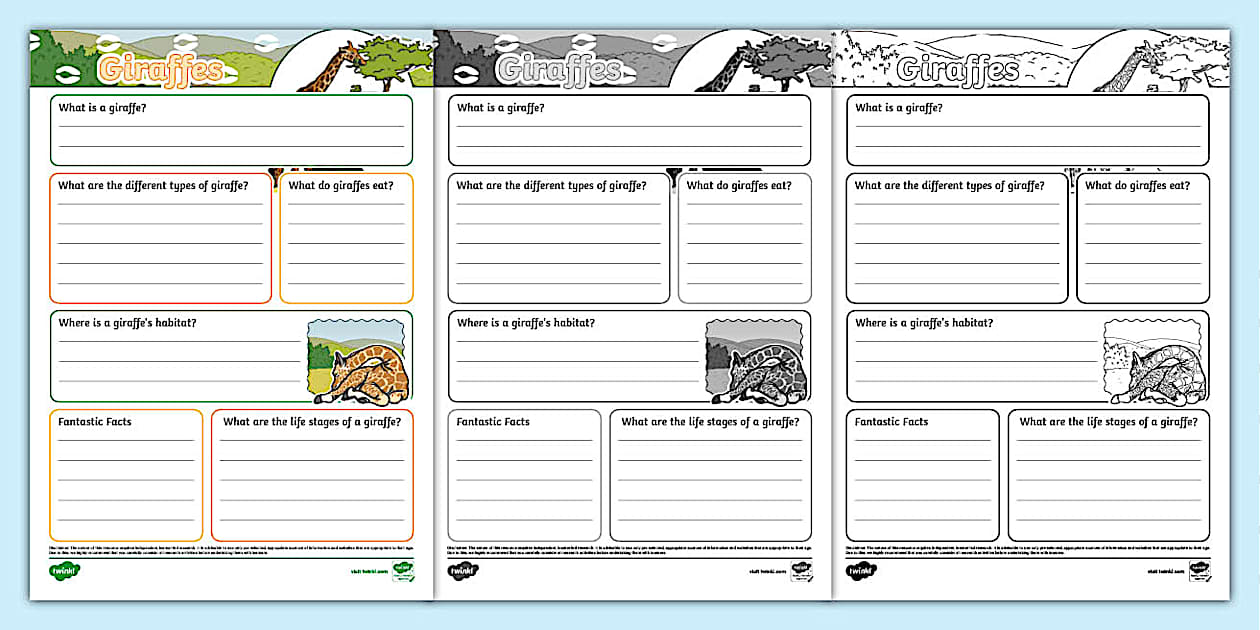 Giraffe Template Fact File,giraffe,giraffes (teacher made)