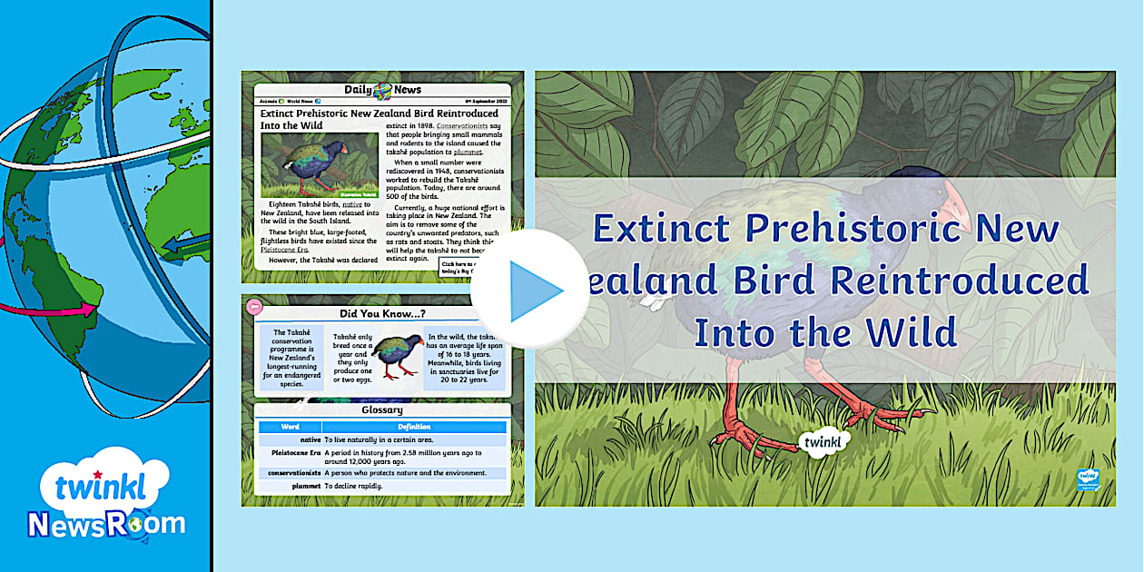 Extinct Prehistoric New Zealand Bird Reintroduced Into the Wild | Twinkl
