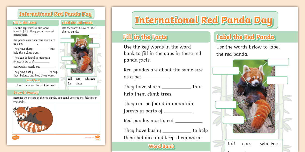 KS1 International Red Panda Day Boredom Buster - Twinkl