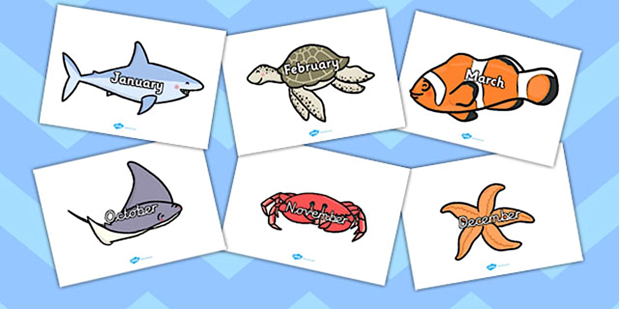 Cursive Months of the Year on Sea Creatures - Twinkl