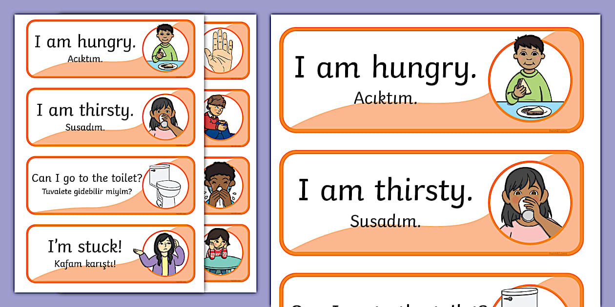 English-Turkish Survival Vocabulary Cards-Twinkl