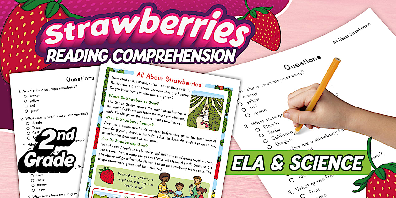 Second Grade All About Strawberries Reading Comprehension Worksheet