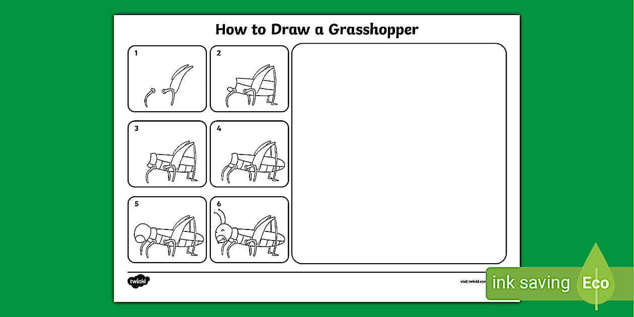 How to Draw a Simple Grasshopper Worksheet | Twinkl | KS1
